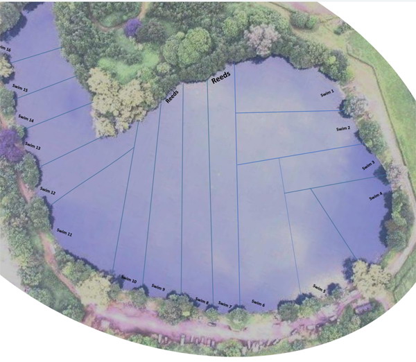 Swim Boundary Rules